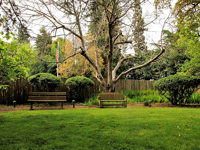 A garden bench placement so perfect it seems the trees grew specifically to frame this moment of tranquility.