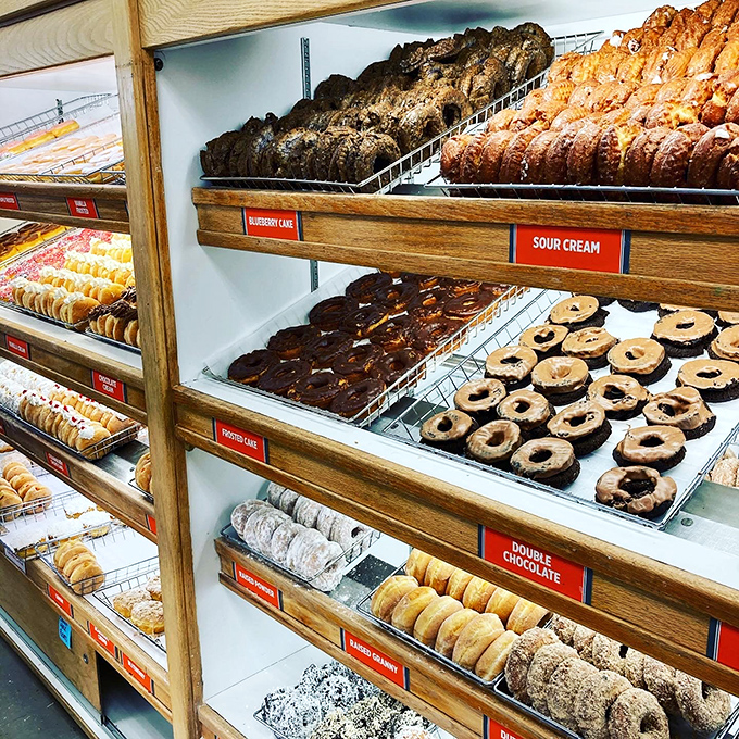 Donut heaven has shelves, and they look exactly like this. Each labeled tray offers a different path to sugary enlightenment.