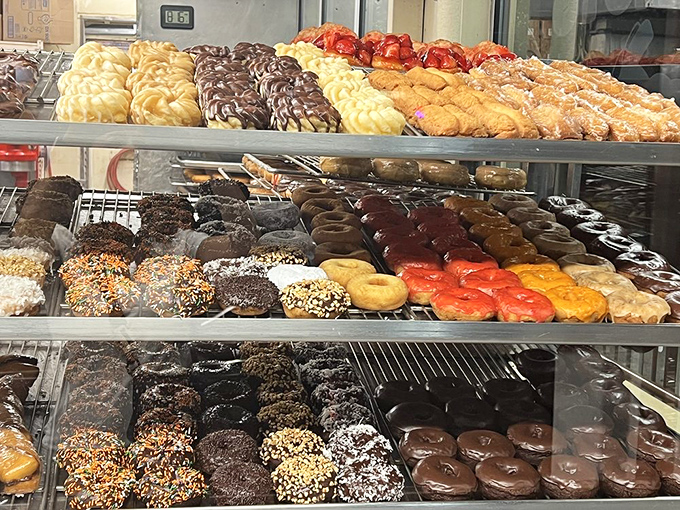 A rainbow of donut possibilities that makes choosing feel like the sweetest form of torture known to mankind.