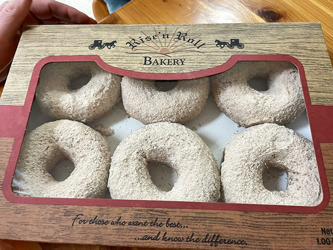 Six perfect cinnamon caramel donuts in their natural habitat.