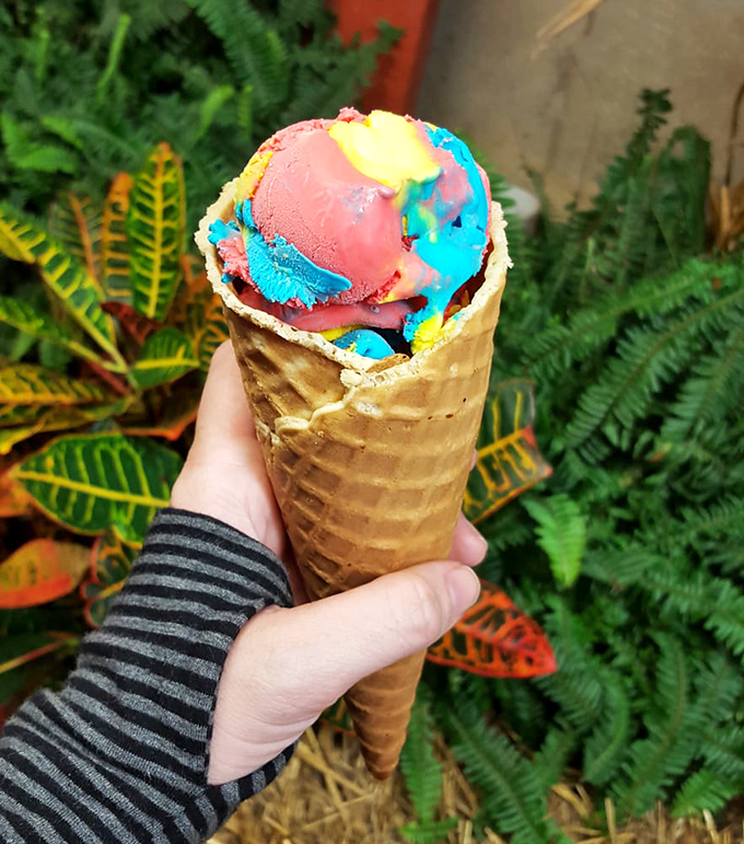 A rainbow of ice cream scoops in a homemade waffle cone, held against a backdrop of lush greenery. Summer in Georgia, condensed into one perfect handheld treat.