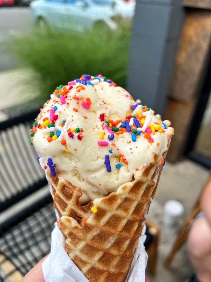 The classic cone gets a confetti-covered upgrade. It's not just dessert—it's a handheld celebration complete with sprinkles that spark joy.