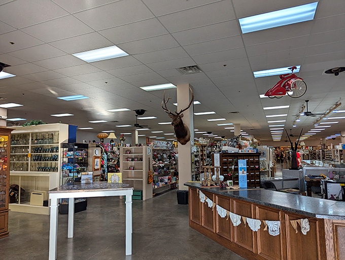 The sprawling interior reveals itself like a labyrinth of Americana, where taxidermy watches over decades of collectibles and curiosities.