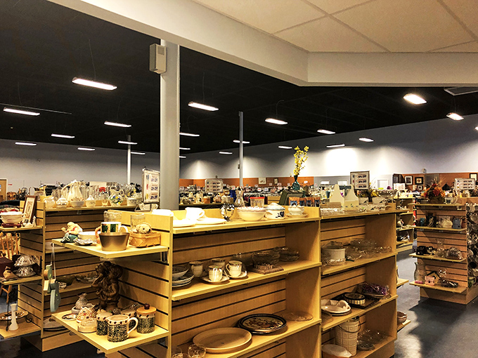 The electronics and miscellaneous aisle—where yesterday's must-haves await tomorrow's creative repurposers. One person's obsolete gadget is another's vintage find.