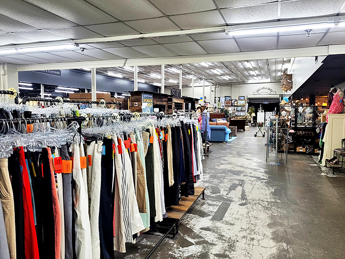 Organized chaos at its finest&mdash;racks of carefully categorized clothing create pathways through this treasure-hunter's paradise of second chances.