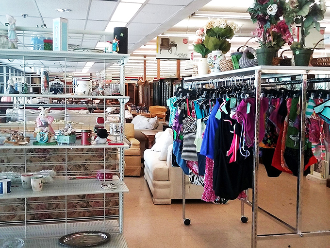 Where sofas meet summer dresses—the delightful chaos of thrift store organization creates unexpected shopping adventures around every corner.