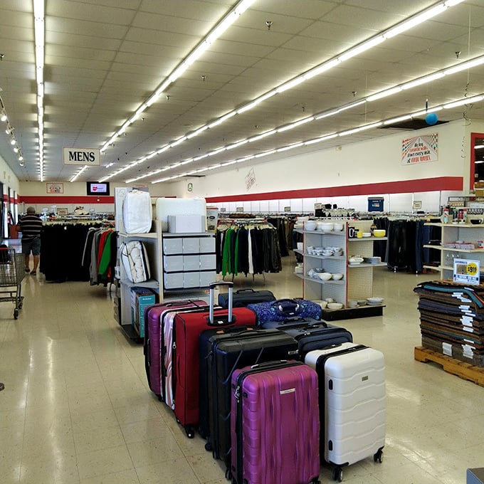 Luggage lined up like eager travelers, each with tales of past adventures and ready for your next weekend getaway.