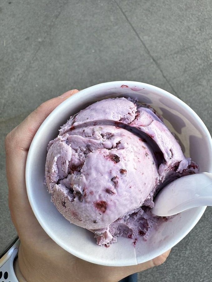 Ice cream brings generations together. At Zingers, family outings become treasured traditions, one scoop and smile at a time. 