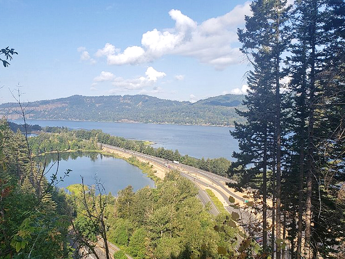The iconic Benson Bridge framing the dual cascades of Multnomah Falls. Nature's perfect composition that no Instagram filter could possibly improve.