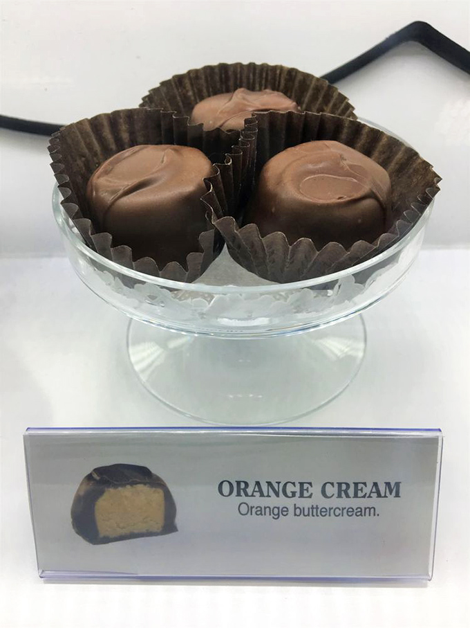 Orange Cream: Citrus and chocolate living together in perfect harmony. Like a sunset wrapped in velvet, then dipped in happiness.