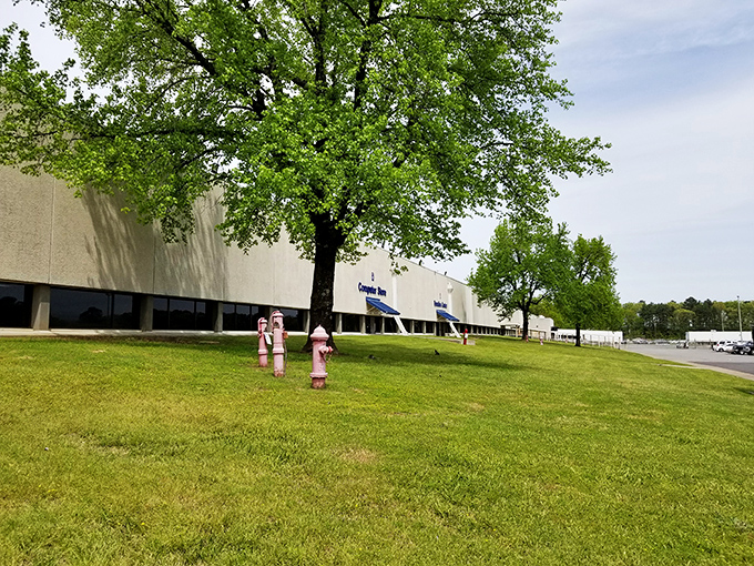 Outside, nature frames the building in green serenity, a calm contrast to the joyful chaos of discovery happening within those walls.