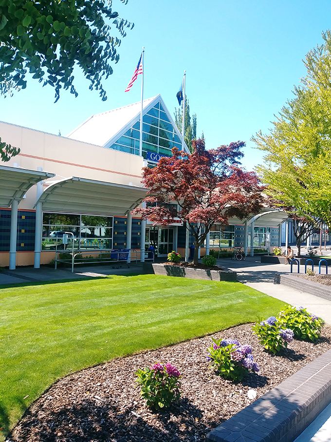On sunny days, the Goodwill superstore's entrance looks almost majestic, with landscaped grounds that belie the chaotic treasure hunt within. 