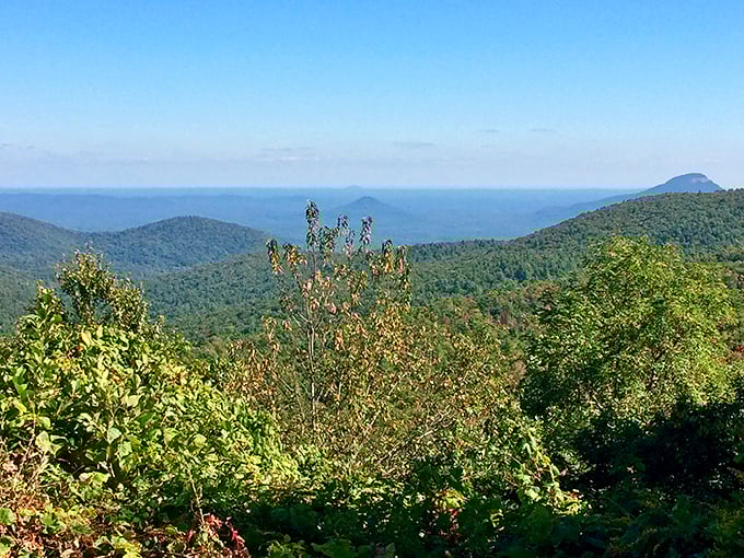 Layers of blue mountains fade into infinity, each ridge slightly hazier than the last. This view explains why they're called the Blue Ridge.