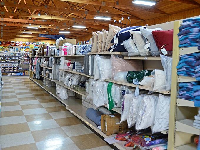 Bedding bonanza! From pillows to comforters, everything needed for the perfect night's sleep without the nightmare-inducing department store prices.