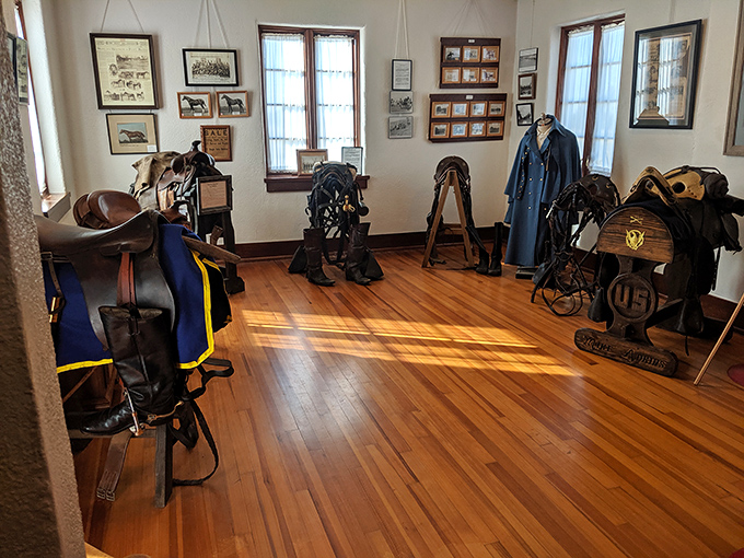 A cavalry officer's pride and joy – saddles and gear meticulously preserved, looking ready for a midnight ride across the Oklahoma plains.