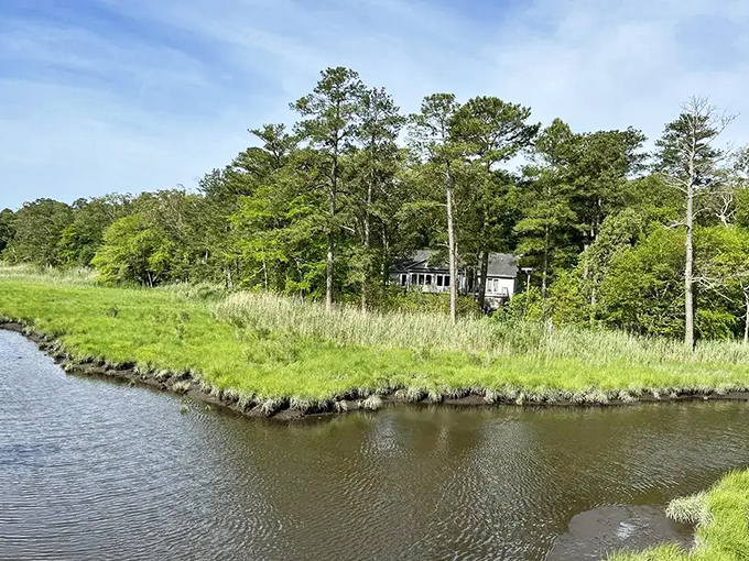 Coastal wetlands create nature's perfect reflecting pool. Even the clouds seem to admire themselves in these tranquil waters.