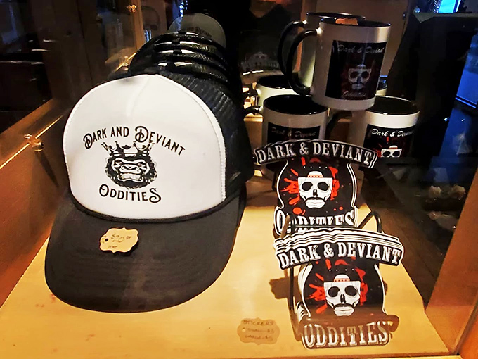 Even the souvenirs here tell stories—branded merchandise that lets visitors take home a memory of their journey through Asheville's most fascinating collection of natural curiosities.