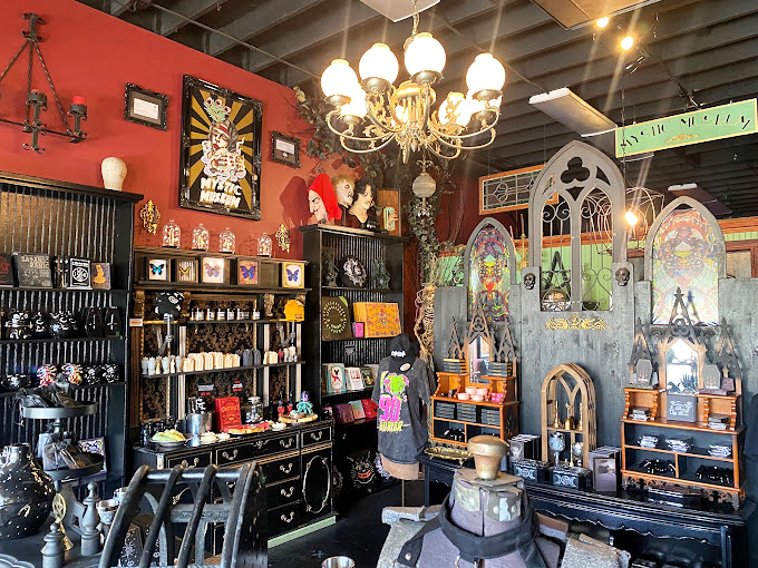 The storefront promises "oddities & rarities" and delivers with carnival-like flair. Like stepping into a Wes Anderson film with a dash of Halloween.