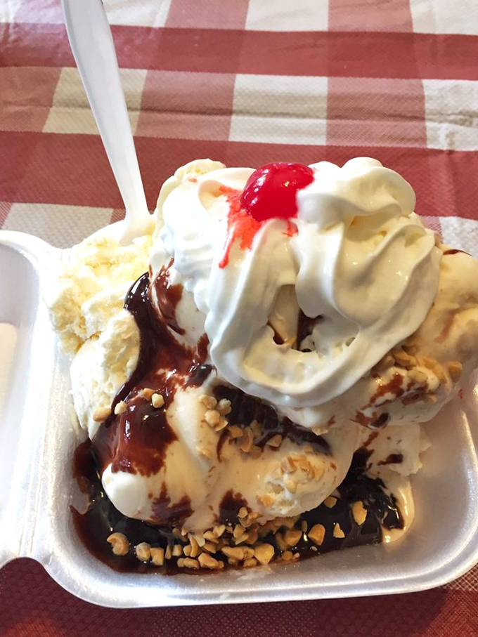The hot fudge sundae&mdash;where whipped cream mountains meet chocolate rivers in a landscape too beautiful to last long.
