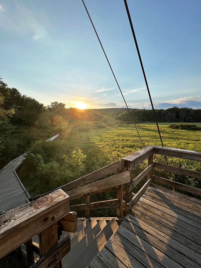 The golden hour transforms the humble observation deck into the best seat in the house for nature's nightly light show.