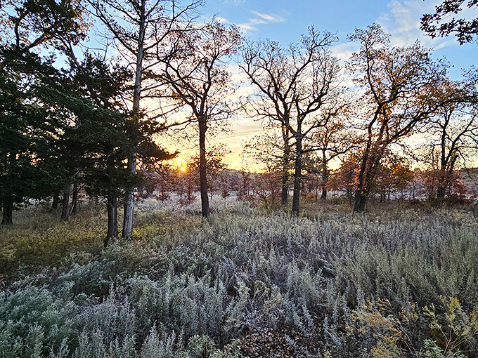 Nature's farewell performance never disappoints. An Oklahoma sunset paints the sky in colors no filter could improve upon.