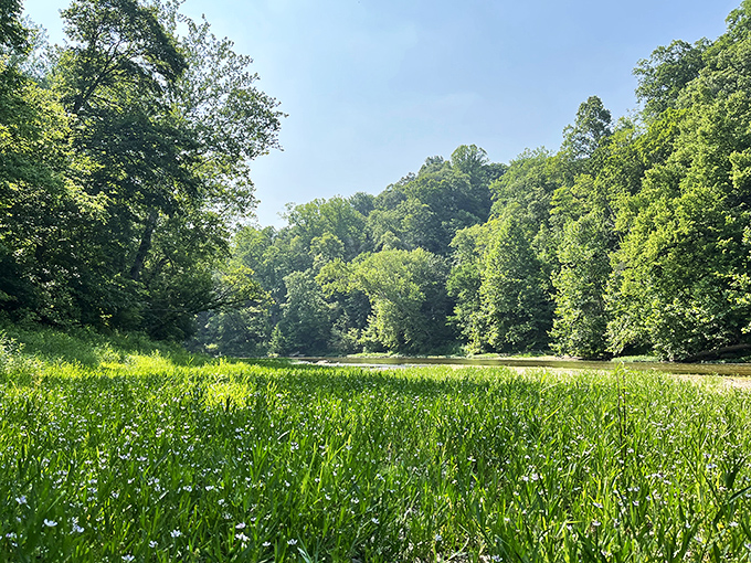 The meadows at Shades offer perfect picnic spots where the only interruption might be a butterfly inspecting your sandwich for nectar potential.