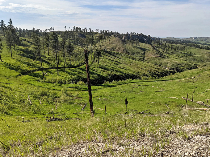 Nebraska's topographical surprise party. These undulating hills and valleys make you question everything you thought you knew about the Cornhusker State.