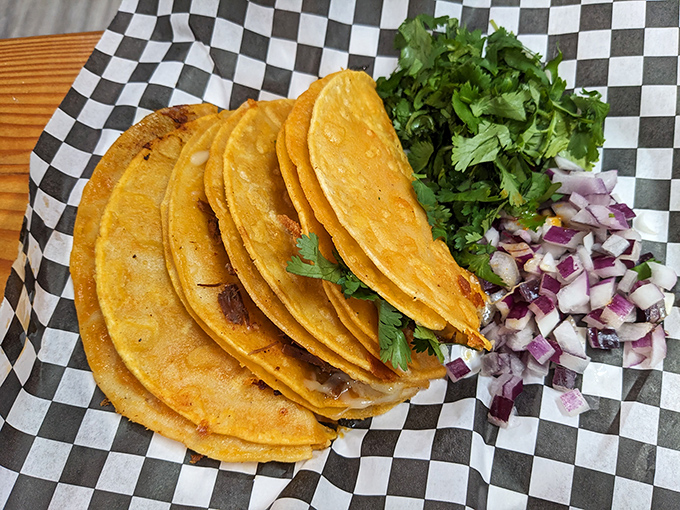 Perfectly charred tortillas reveal the kitchen's attention to detail&mdash;these aren't just tacos, they're edible love letters to Mexican culinary tradition.