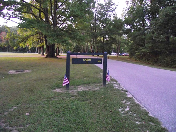When signage becomes an invitation to adventure. These unassuming cabin markers point the way to memories waiting to be made.