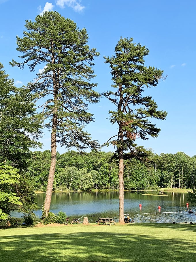 Twin sentinels stand guard over Oconee's swimming area, having witnessed generations of cannonballs, first swims, and sunscreen applications.