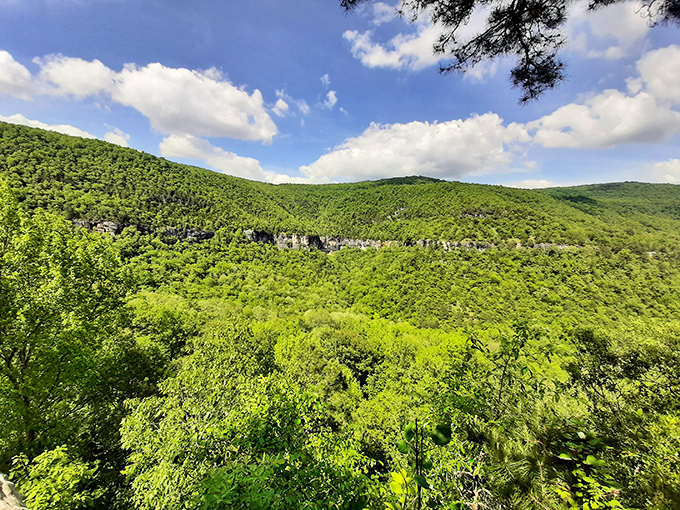 The verdant canopy of the Ozarks stretches to the horizon, a rolling sea of green hiding countless treasures for those willing to explore.