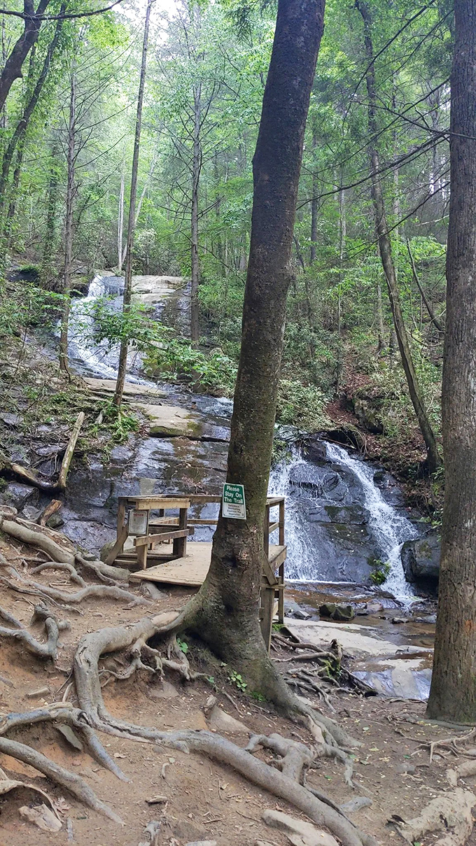 Nature's amphitheater, with falling water as the headline performer. This viewing deck offers the perfect spot to applaud the geological concert.