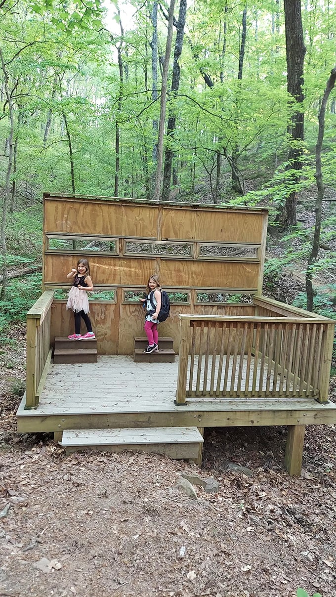Nature's observation deck: where young adventurers can stand eye-to-eye with the forest and imagine what it's like to live among the leaves.