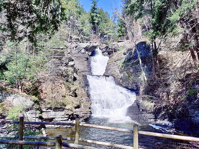 The main event: Raymondskill Falls in all its multi-tiered glory. Water dances down rock faces that have been sculpted by time, creating a spectacle that no human architect could design. 