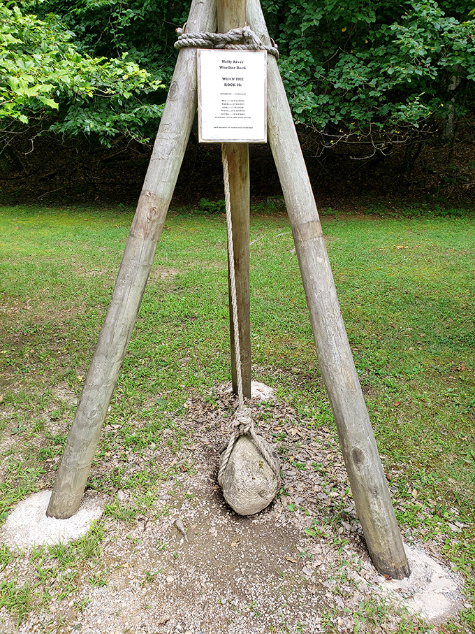 The Holly River Weather Rock: nature's most reliable meteorologist. If it's wet, it's raining. If it's white, it's snowing. Low-tech perfection in a high-tech world