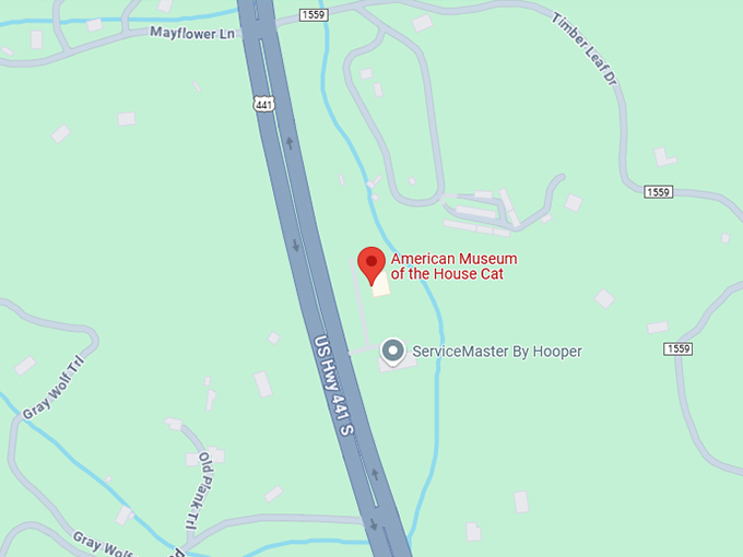 16. american museum of the house cat map