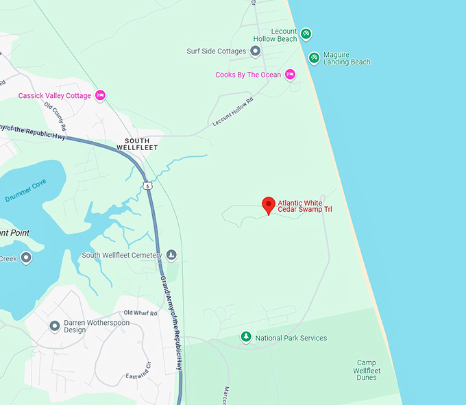 16. atlantic white cedar swamp trail map