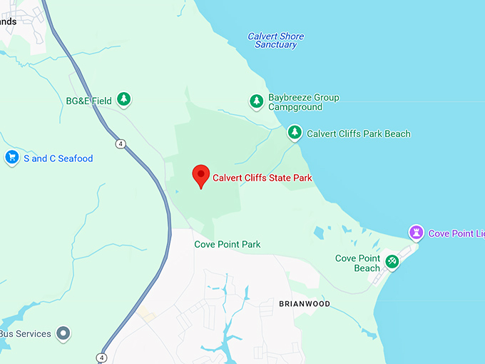 16. calvert cliffs state park beach map