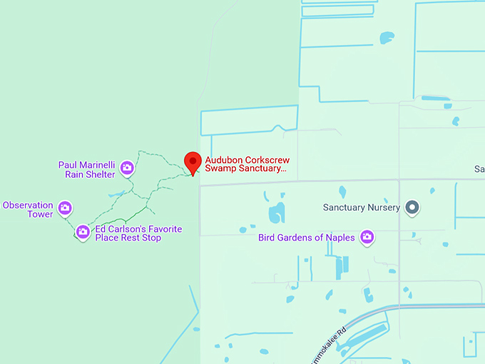 16. corkscrew swamp sanctuary trail map