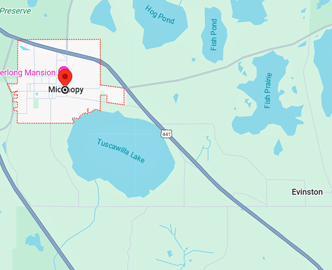 16. micanopy florida map