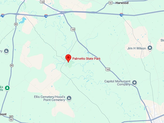 16. palmetto state park map