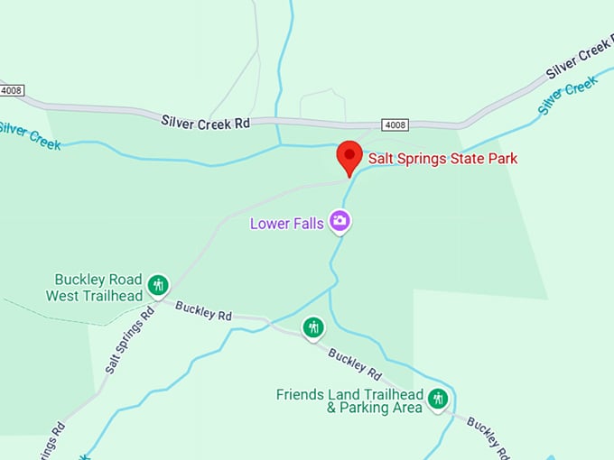 16. salt springs state park map