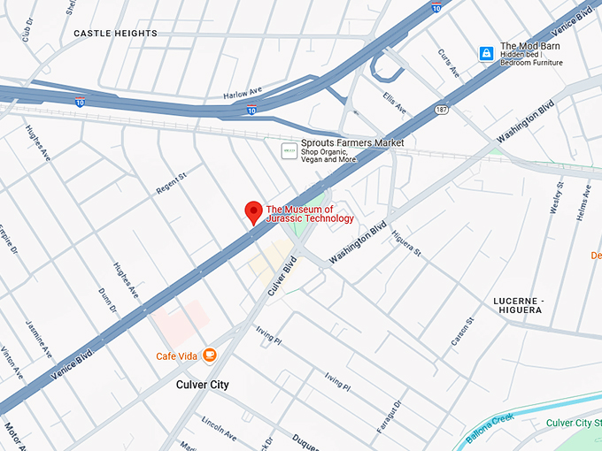 16. the museum of jurassic technology map