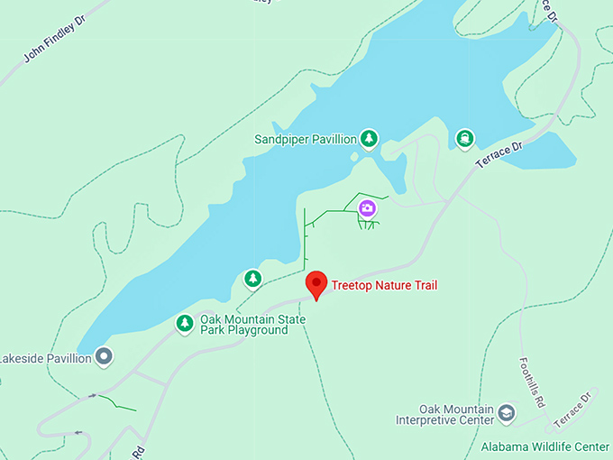 16. treetop nature trail map