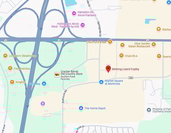 16. winking lizard copley map