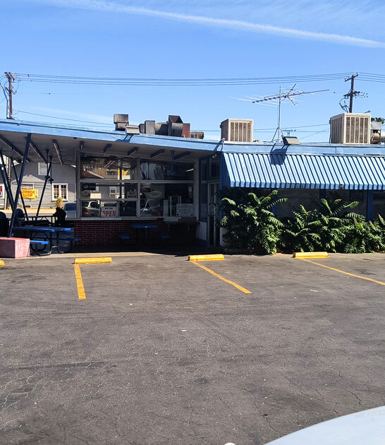 1950s california burgers ftr