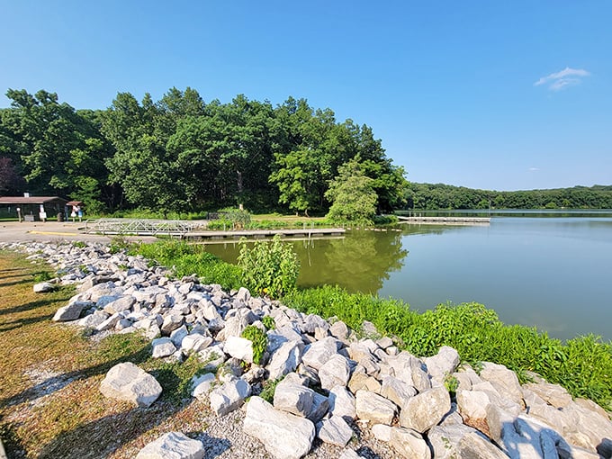 Sunlight dances across the calm lake waters, where rocks and greenery create nature's perfect meditation spot. Fish are definitely plotting their next move.