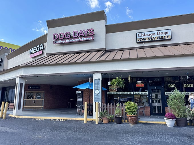 The pink neon sign of Dog Days beckons like a lighthouse for the hungry. Classic Chicago dogs and Italian beef await inside this unassuming strip mall treasure.