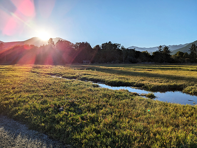 Sunrise magic at Dosewallips! Golden light spills across the salt marshes where river meets sound in this hidden paradise.