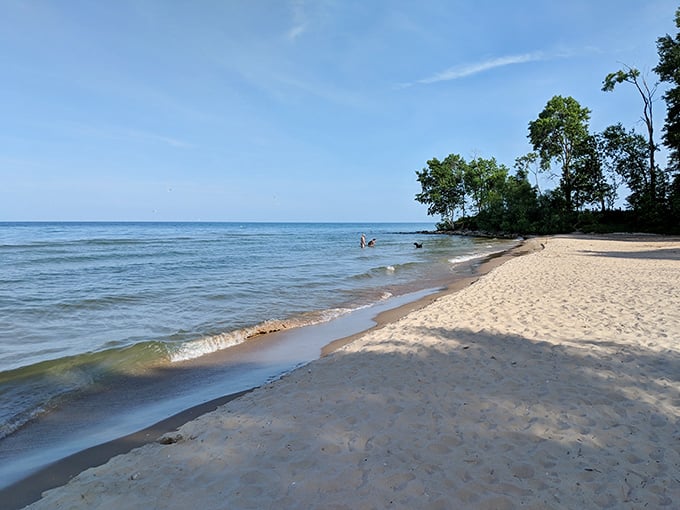 A sun-dappled trail through Harrington Beach State Park's pine forest beckons like nature's own welcome mat. 